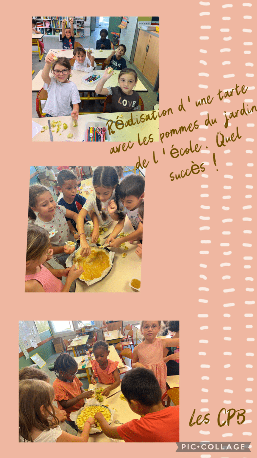 Le pommier de l'école - Ensemble Scolaire Sainte Claire